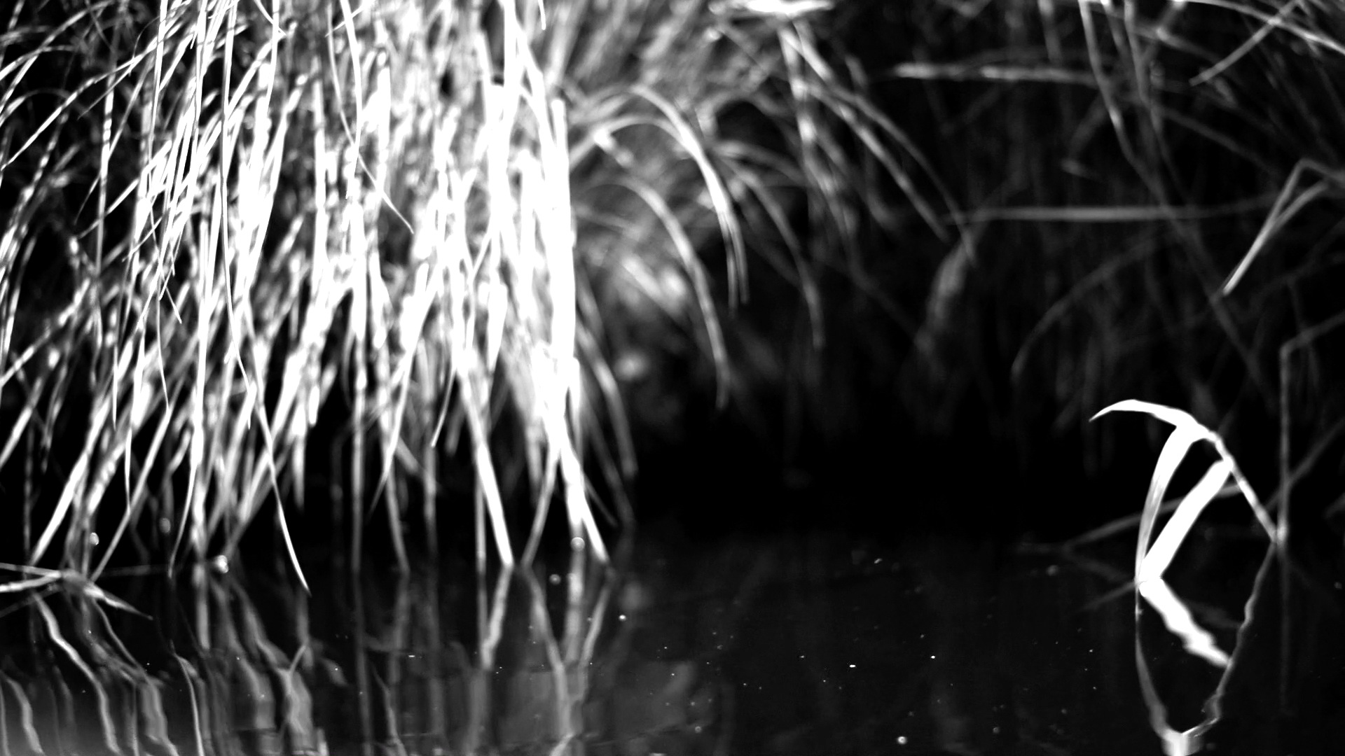 Accueil | Céline Pierre